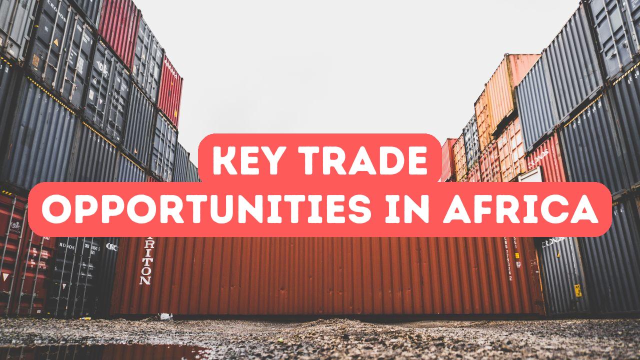 Key Trade Opportunities in Africa - Istanbul Africa Trade Company