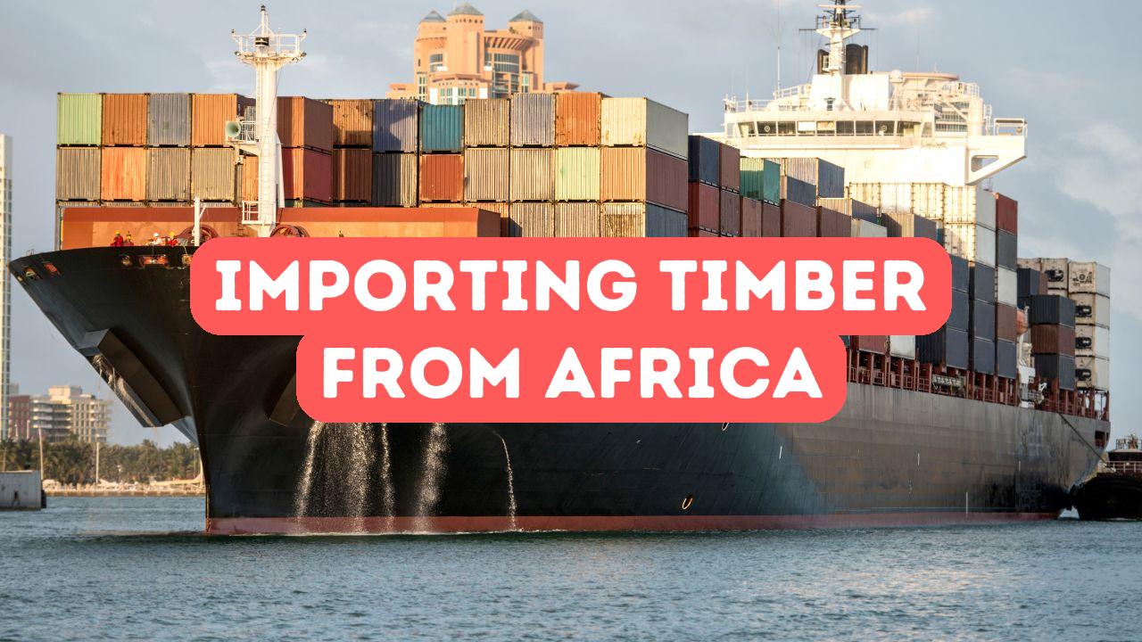 Importing Timber from Africa - Istanbul Africa Trade Company