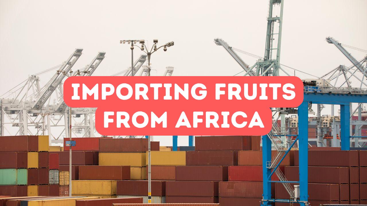 Importing Fruits from Africa - Istanbul Africa Trade Company