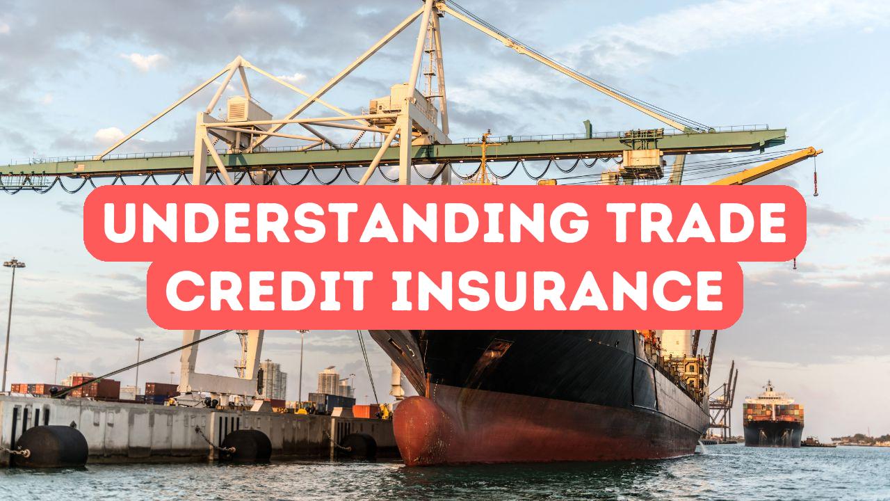 Understanding Trade Credit Insurance - Istanbul Africa Trade Company